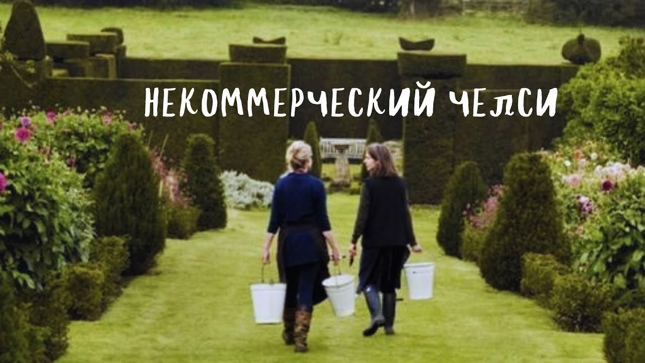 некоммерческий Челси большой переход - YouTube