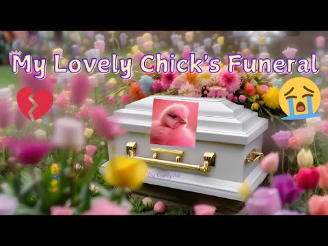 I Had A Funeral For My Beloved Pet Chicken l I Bury Him In My Garden ...