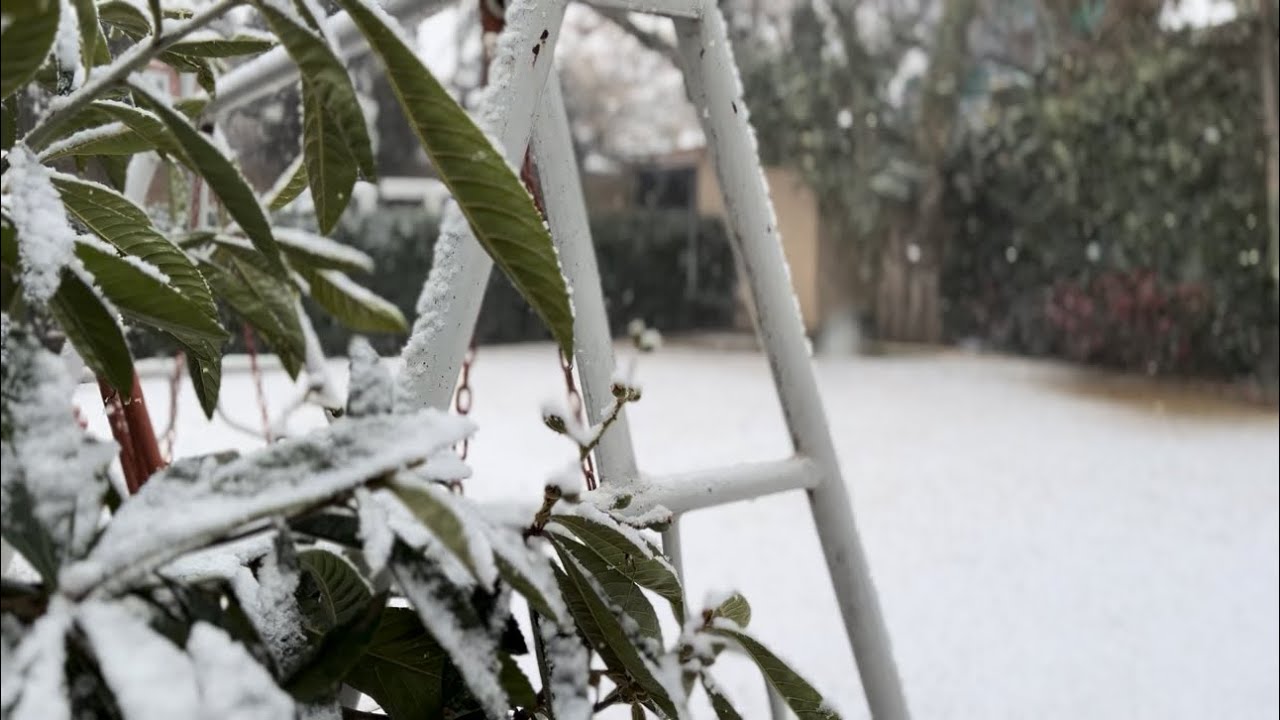 Quetta Snowfall 2023 | Snowfall Quetta Balochistan ️ - YouTube