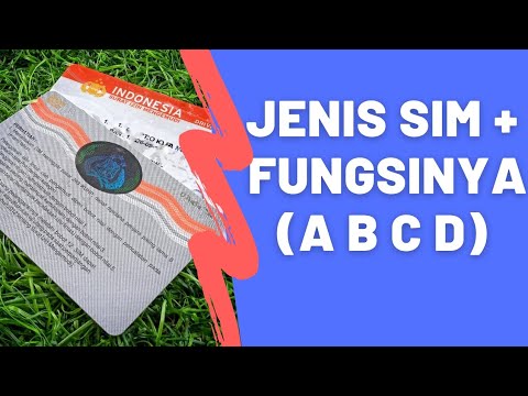 Lengkap!! Jenis SIM dan Kendaraannya (A, B, C, D) - YouTube