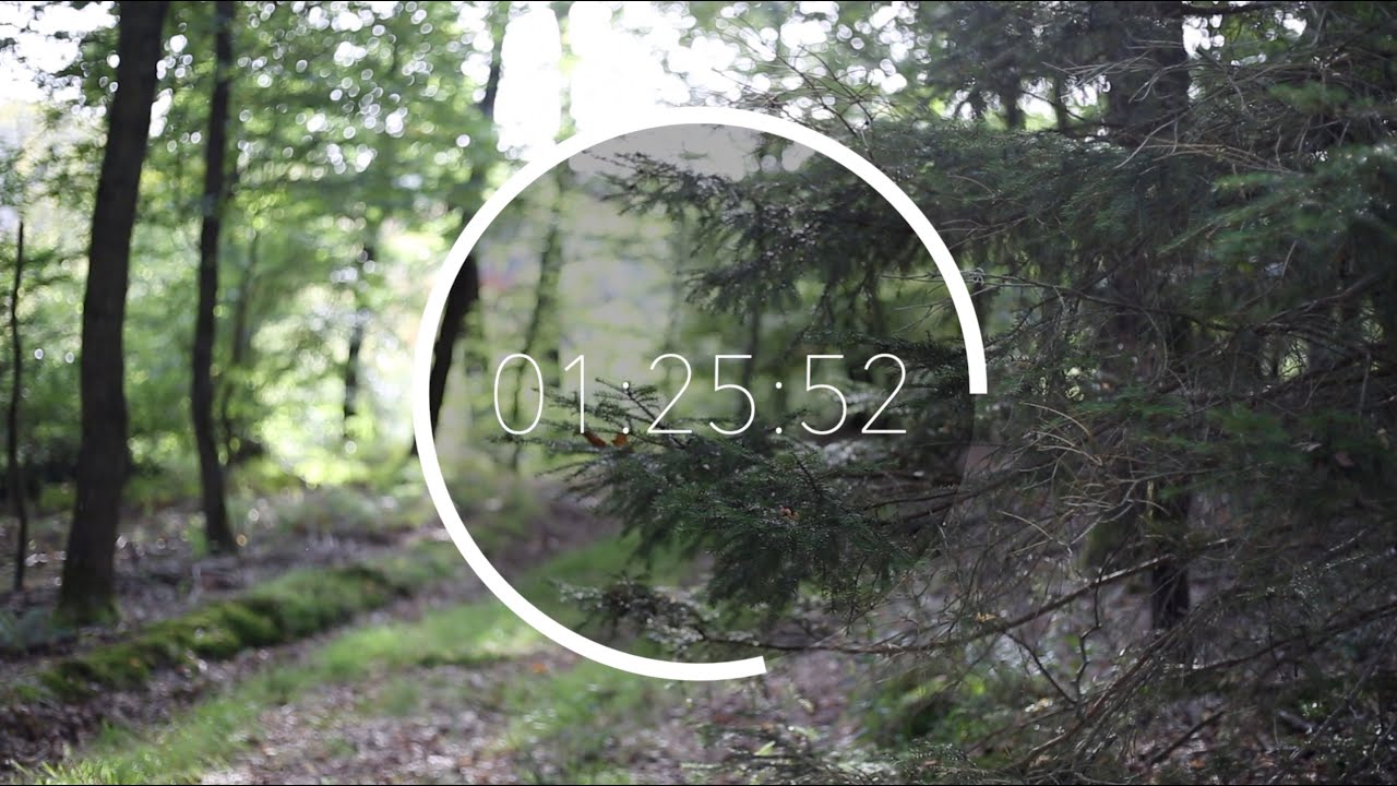 Peaceful Forest - STUDY TIMER (2 HOURS) - natural white noise ...