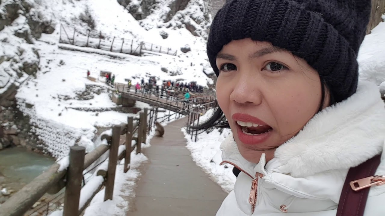 What To Do When You See Snow for the First Time - YouTube