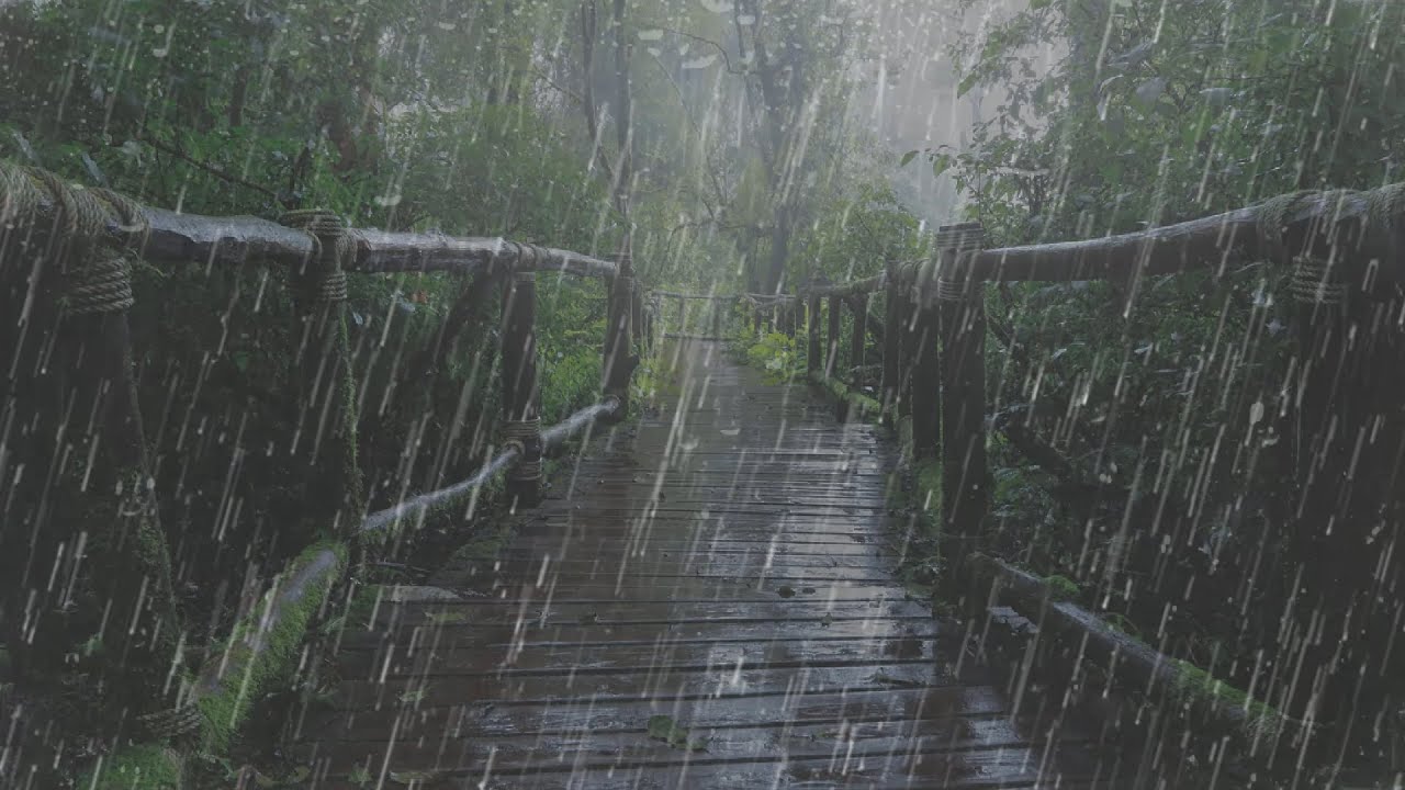 Quick sleep in 4 minutes - Rain in the foggy rainforest - Beat insomnia ...