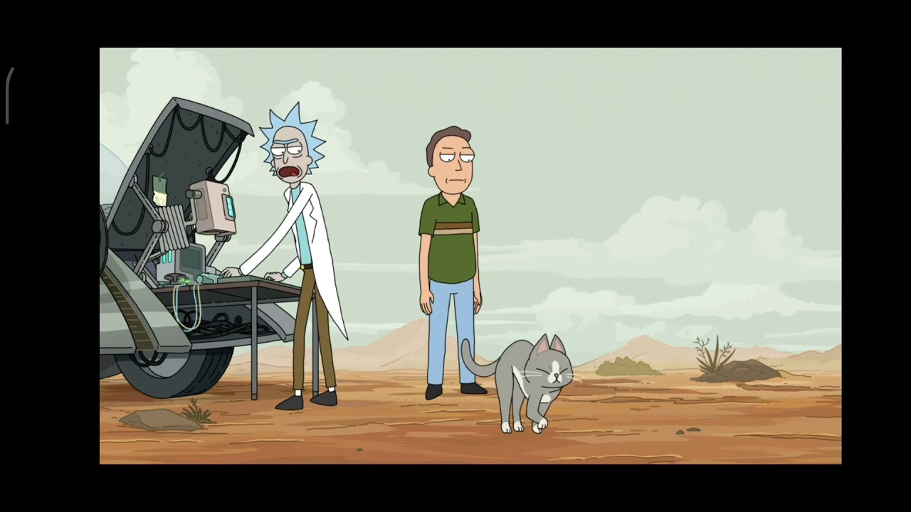 My theory on Rick and Morty about the talking cat - YouTube
