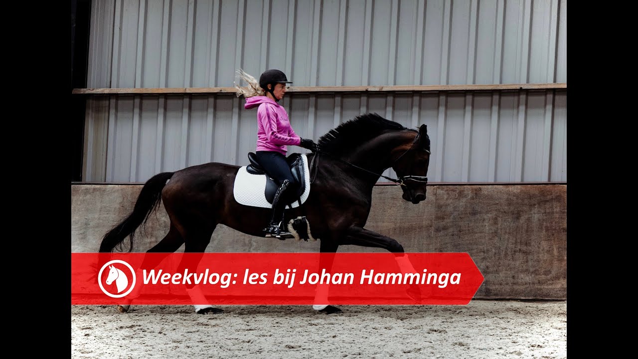 Weekvlog #9: les bij Johan Hamminga! - YouTube