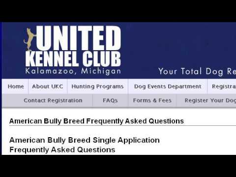How-To Register A Dog With The American Bully Kennel Club (ABKC) - YouTube