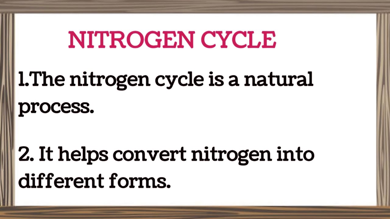 10 lines on the nitrogen cycle/essay on the nitrogen cycle - YouTube