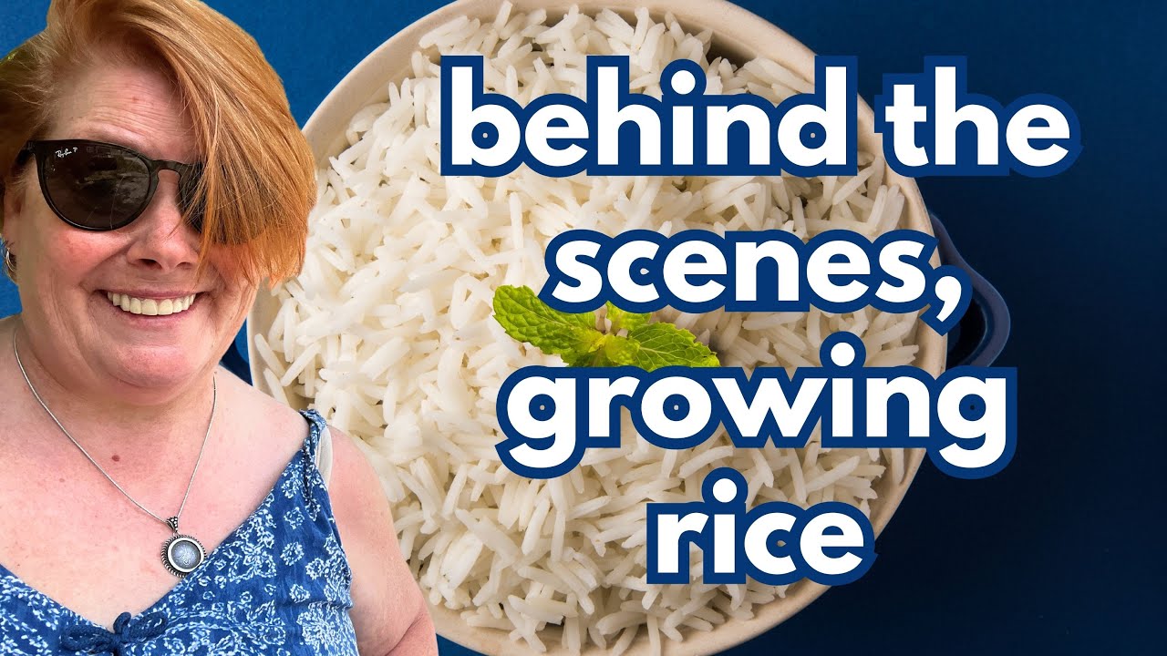 Working with Water to Grow Rice in Illinois - Farm Tour - YouTube