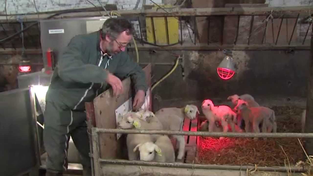 Bonilait - fabriquant d'aliment d'allaitement / Reportage - YouTube