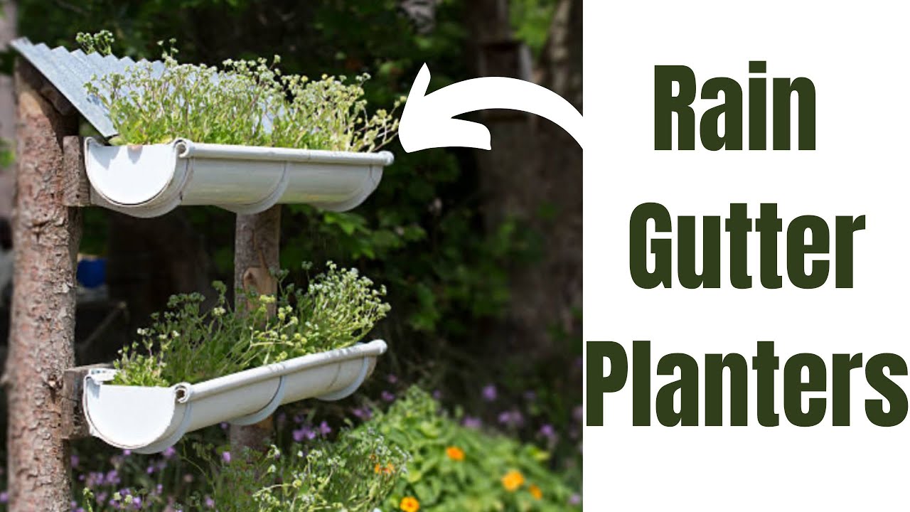 Hanging Rain Gutter Garden | DIY | Quick Hacks - YouTube