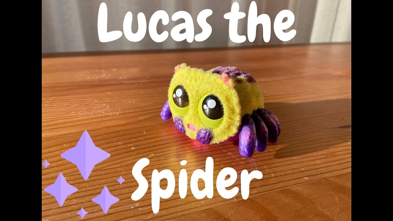 Lucas the Spider in real Life Episode - 1 - YouTube