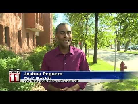 News   MSUM student says he found dead mouse in cafeteria food