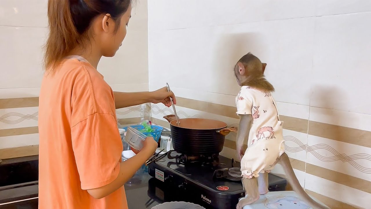 Baby monkey Annie and her mother cook pumpkin soup - YouTube