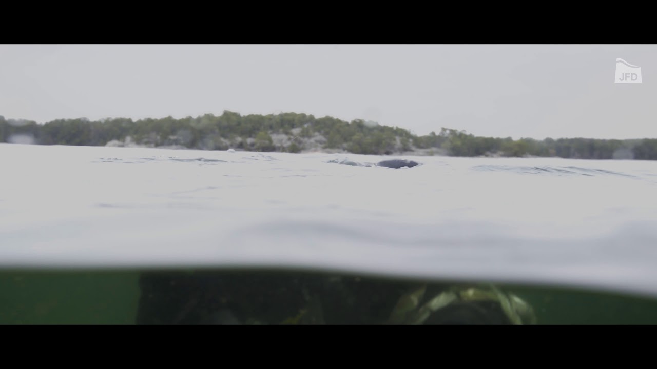 Shadow Nav teaser - YouTube