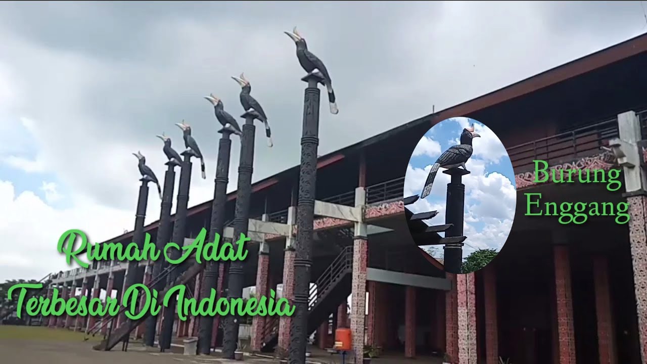 Rumah Radakng Pontianak | Rumah Adat Terbesar Di Indonesia - YouTube