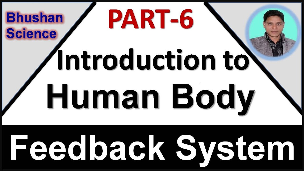 Part 6: Intro to Human Body | Feedback System | Control of Homeostasis ...