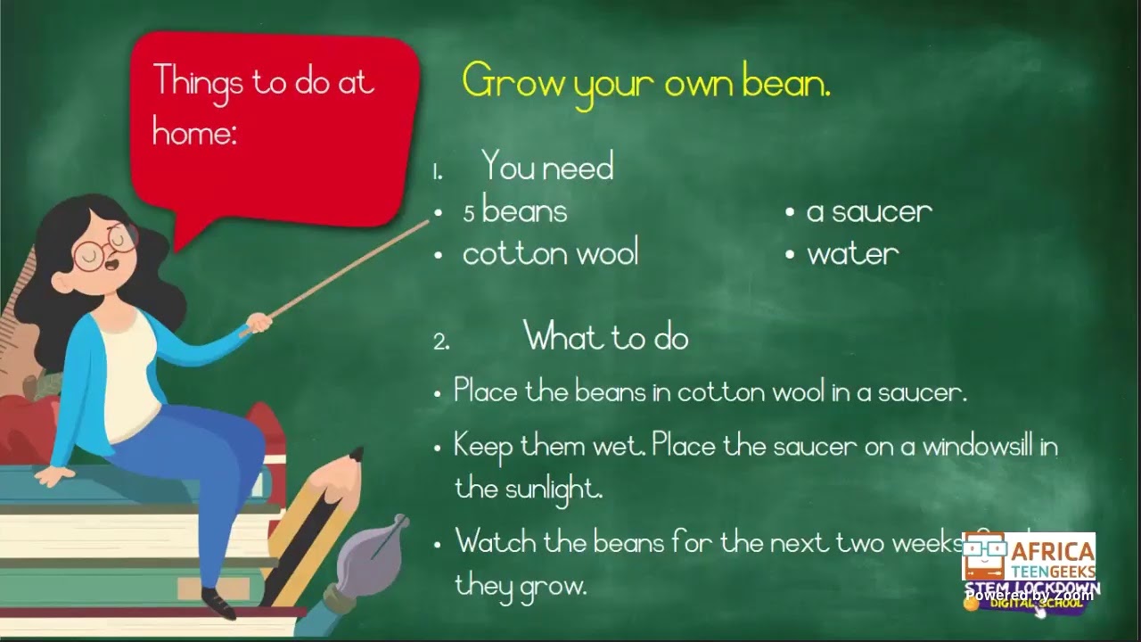 Grade 2 Life Skills 5 June 2020 Farm animals - YouTube