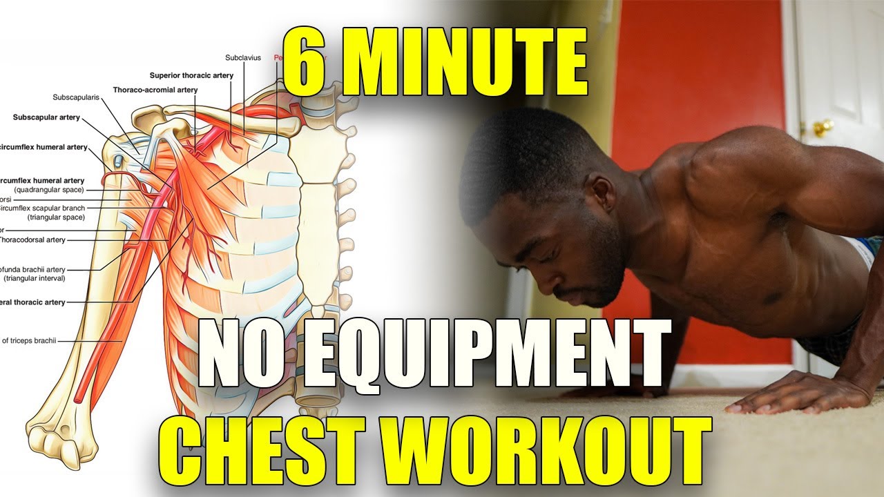 NO EQUIPMENT 10 MINUTE CHEST WORKOUT (GROW BIGGER CHEST) - YouTube