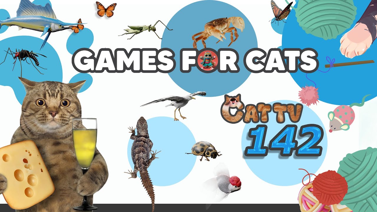 Cat Games | Ultimate Game For Cat Compilation Vol 142 | 6 HOUR 🐭🐝🐞🦋🦎 ...
