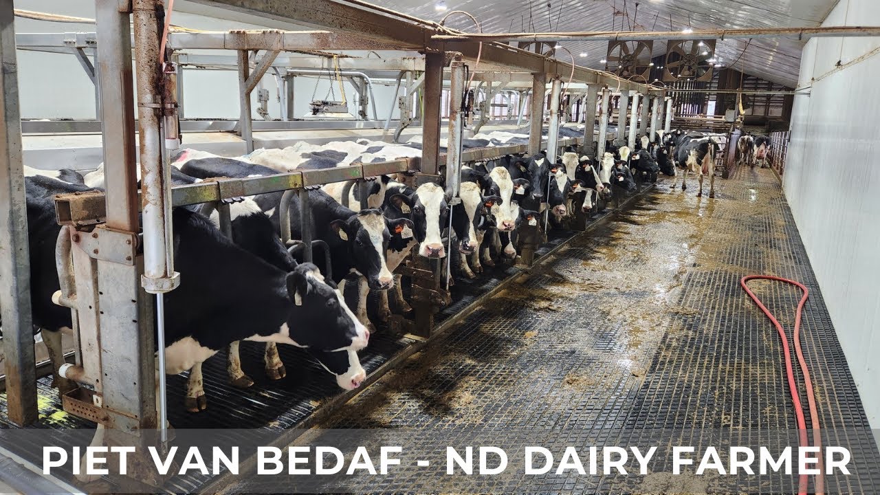 The Milking Parlor (167) - YouTube