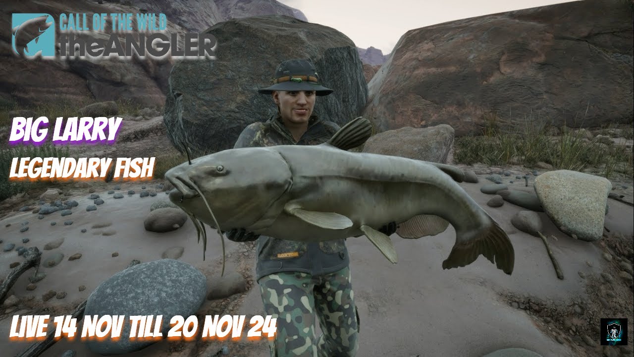 Big Larry Legendary Fish live 14 nov till 20 nov 24 #cotwtheangler ...