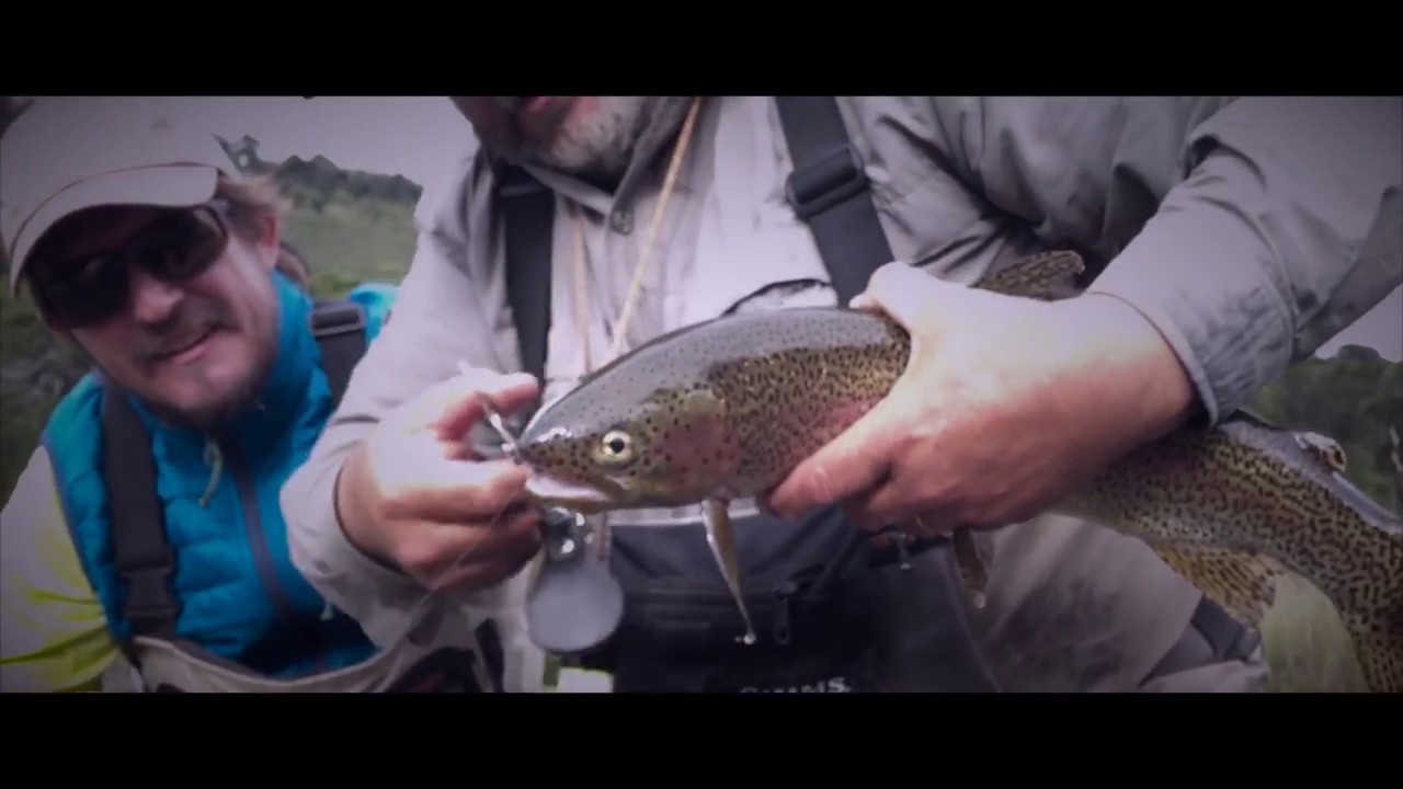 The “Jackson” River / Trailer - YouTube