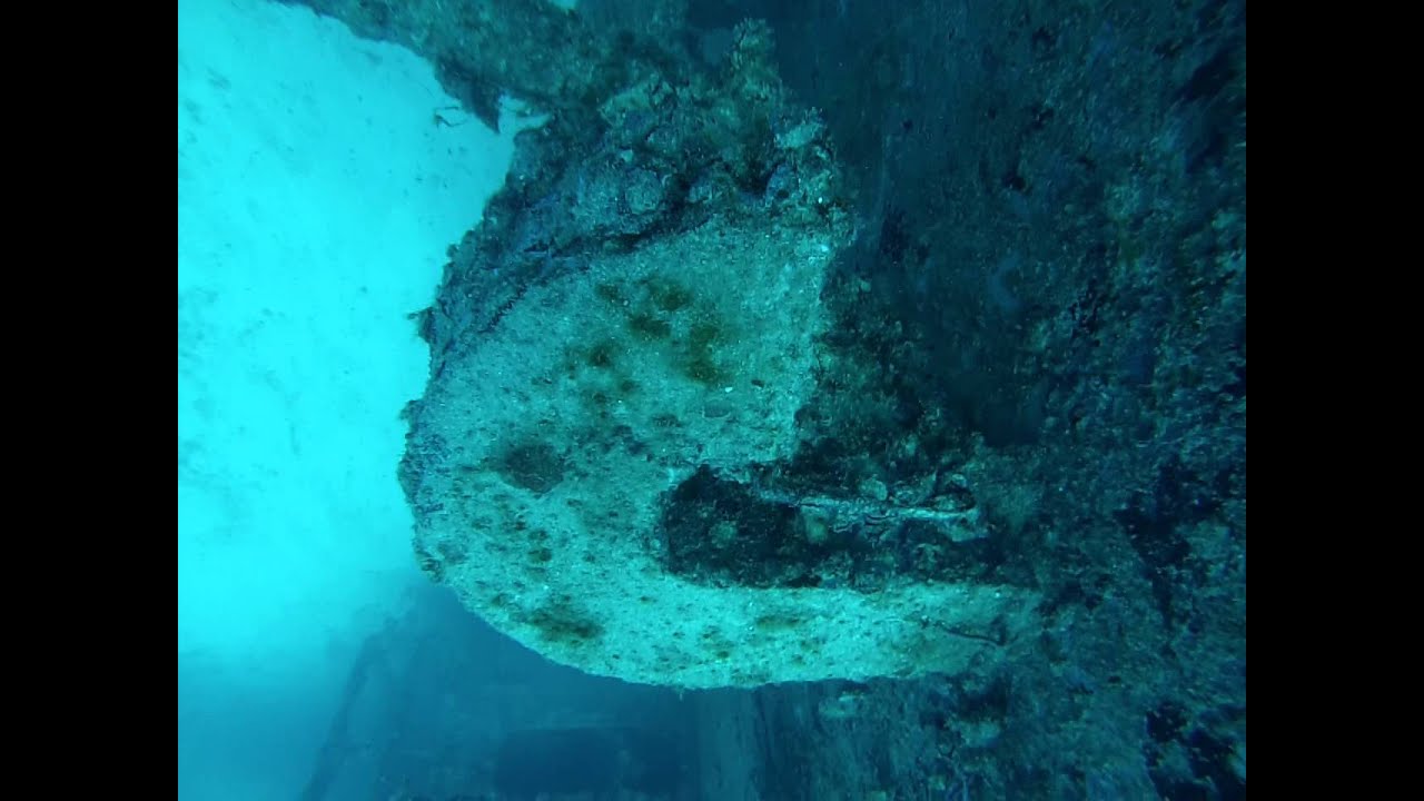 Big Fish on Wreck Dive-Bibb - YouTube