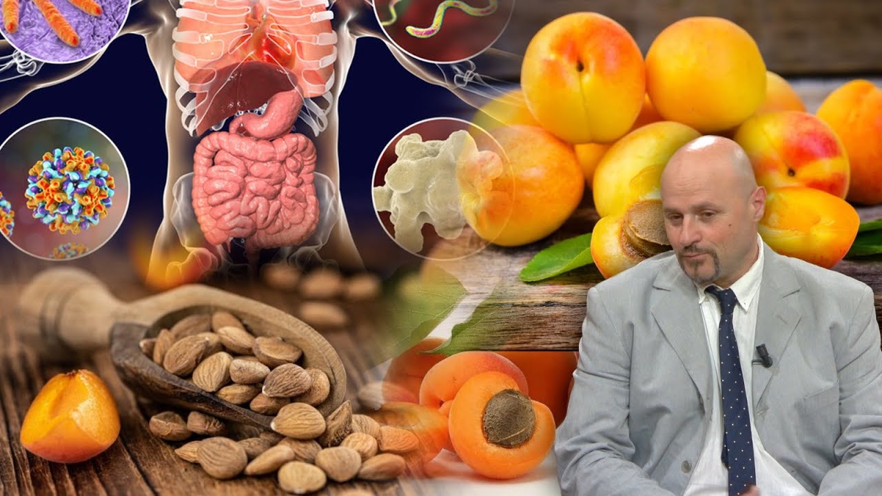 Kajsia, “fruti i jetëgjatësisë” që lufton kancerin. Superfuqitë e farës ...