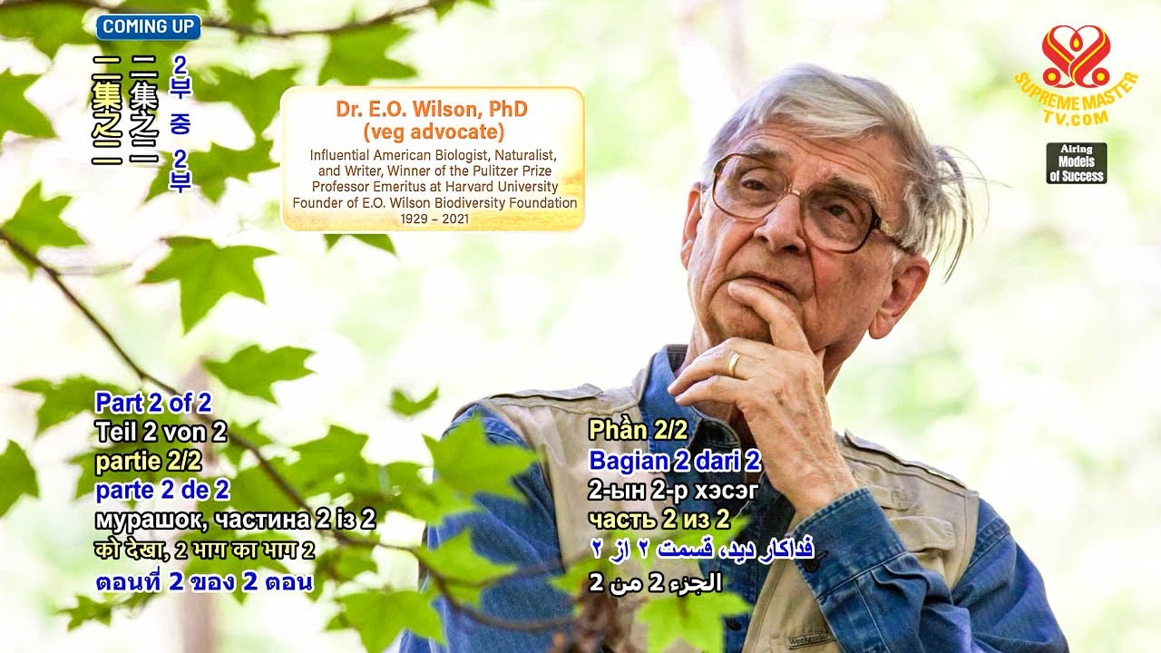 1797 MOS Dr. Edward O. Wilson, Who Saw the World Through the Selfless ...