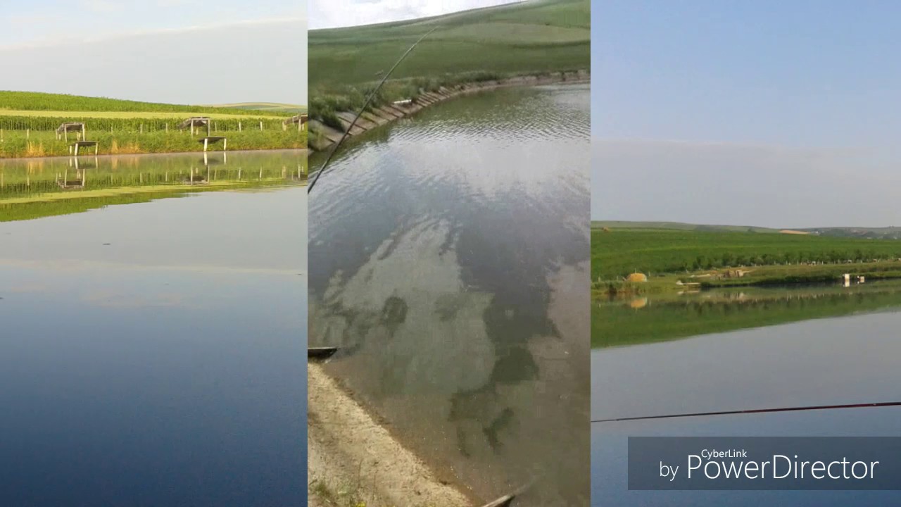 Primul Video! Pescuit la Iacobeni! Crap Oglinda 2 kg - YouTube