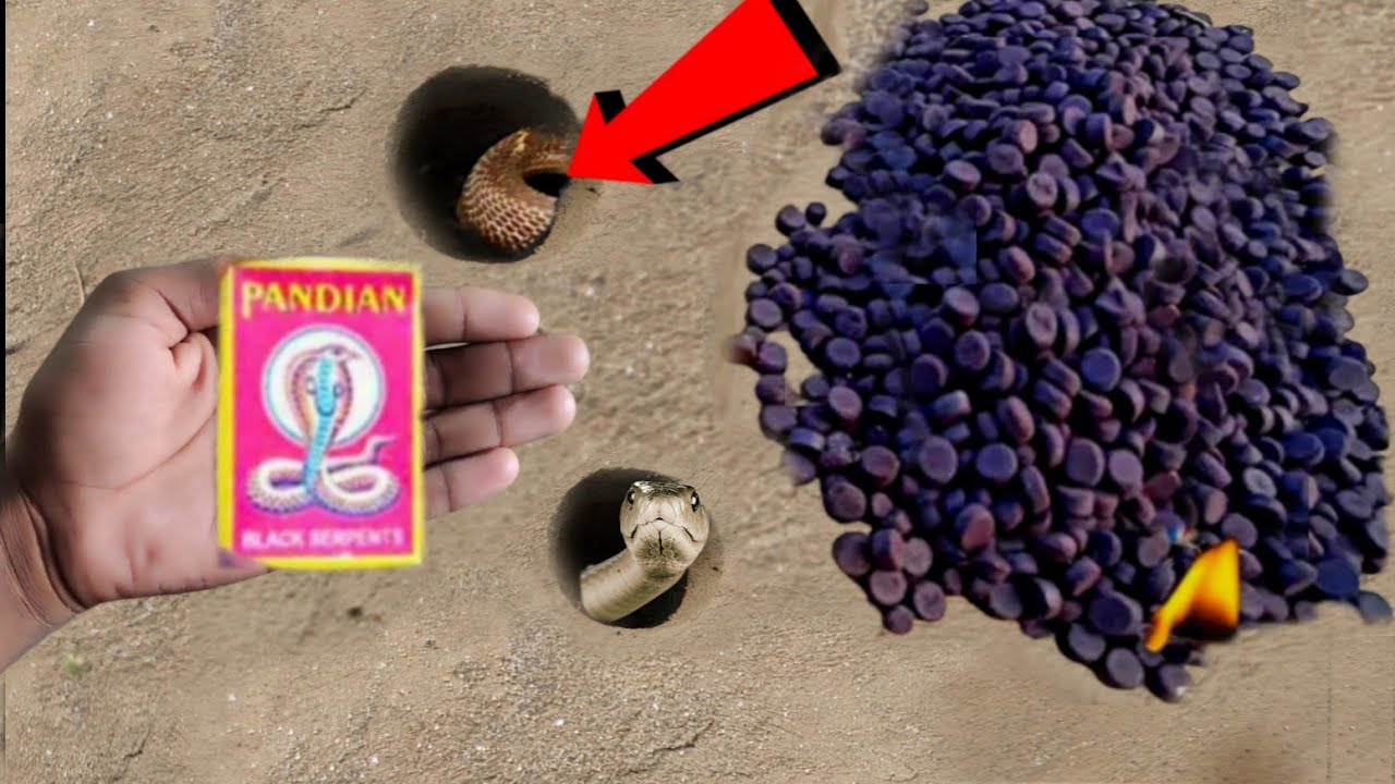 5000 Snake 🐍BOMB at Once Fire Crackers || Snake Bumb At Once Hole ...