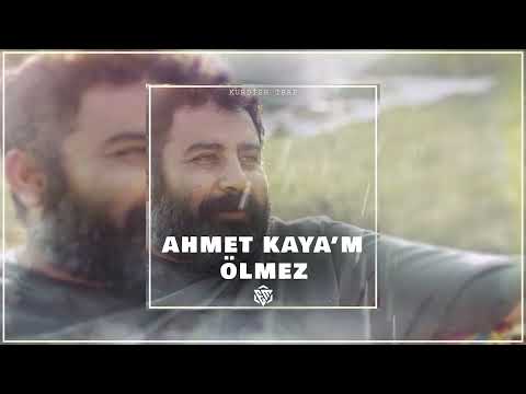 Halit Bilgiç  - Ahmet Kaya Ölmez (Prod. Burako Beats Remix)