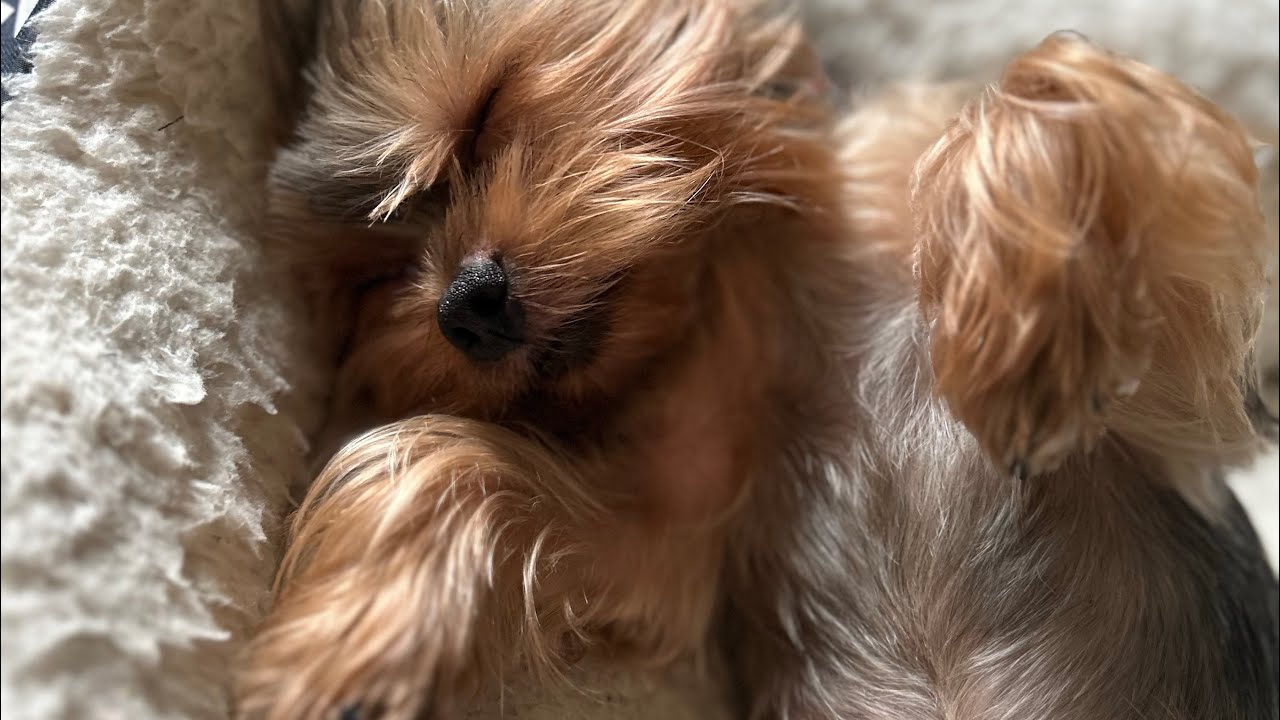 Cozy night time ASMR - YouTube