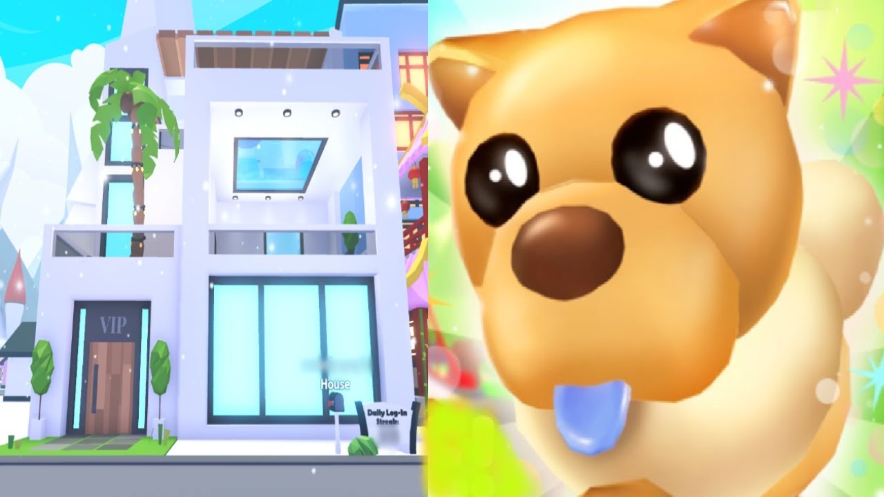 Adopt Me VIP House, VIP Room And Chow-Chow Pet (Roblox) - YouTube