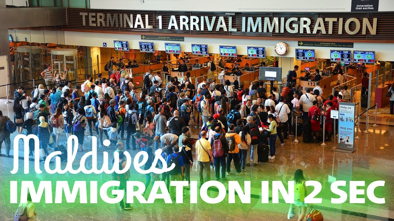 Get Your International Arrival Immigration done in 2 Seconds- Travel ...