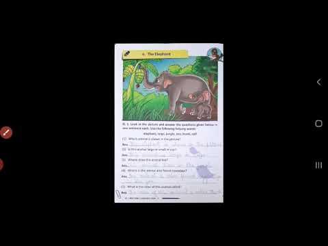 Std II (Class 2) / English Composition (Writing Skills) / The Elephant ...