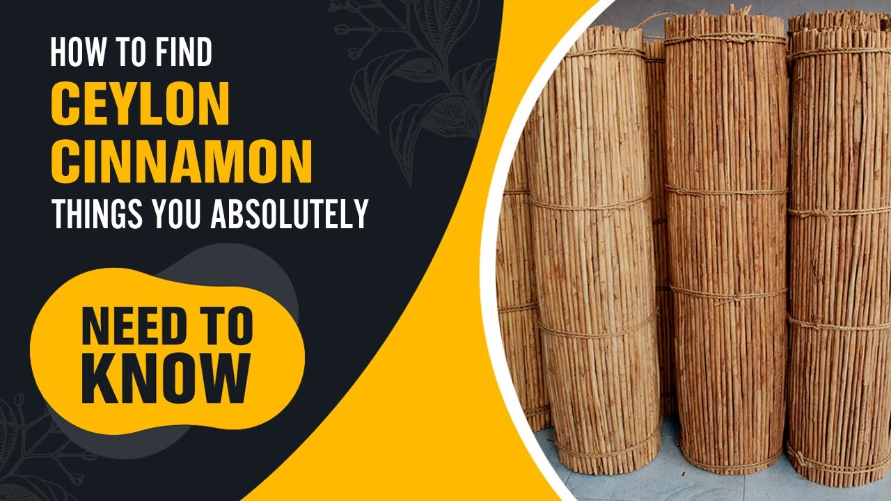 Things To Know Before You Buy Ceylon Cinnamon + Secret to Making Ceylon ...
