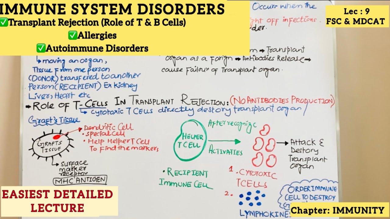 Immune System Disorders | Allergies, Autoimmune Diseases & Transplant ...
