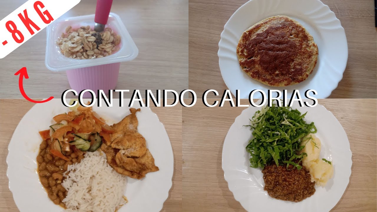 DIÁRIO DA DIETA • Reeducação alimentar contando calorias • 1200 ...