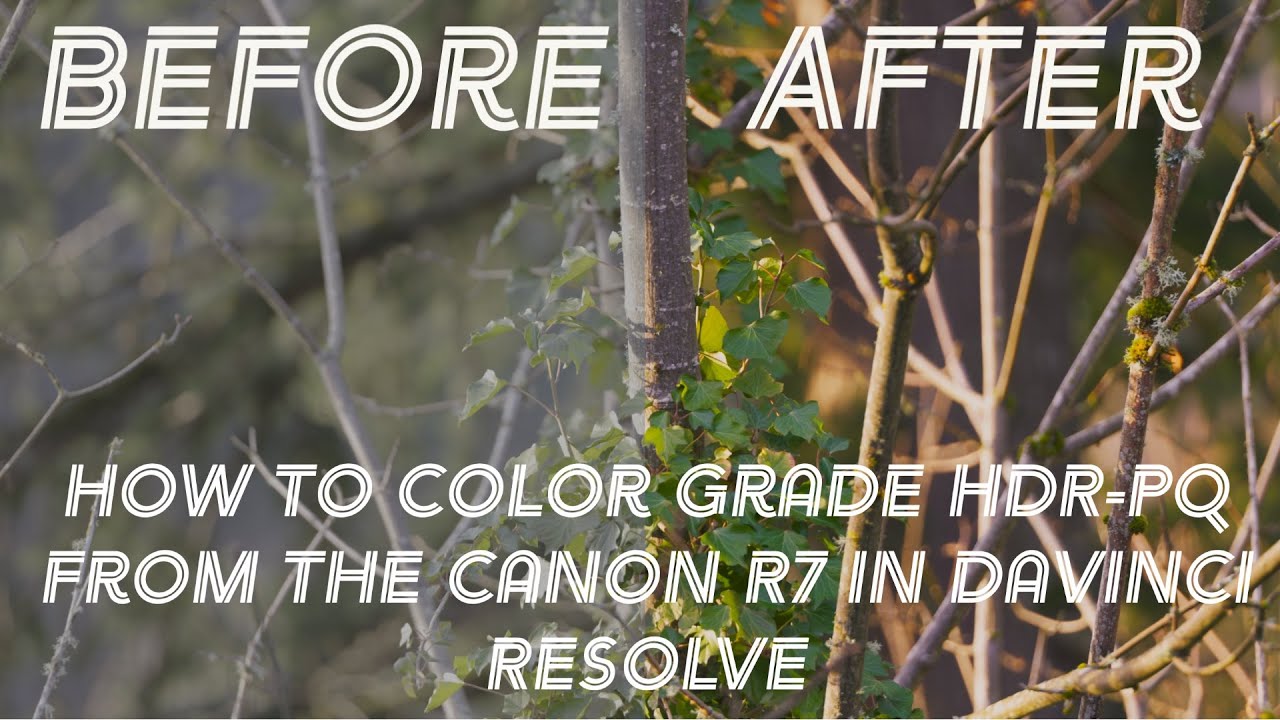 How to Grade HDR-PQ from the Canon R7 - YouTube