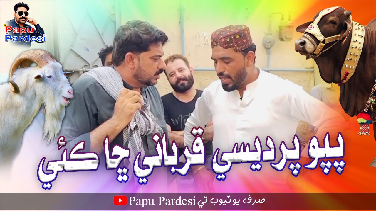 Papu Pardesi Qurbani Sha Kayi | With Molai Habib Tiktoker | Papu ...