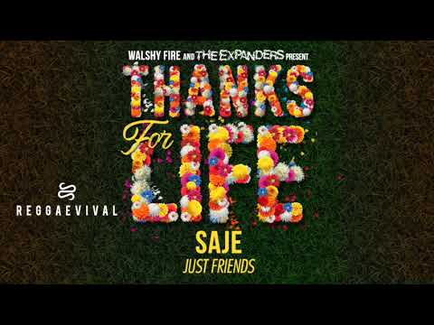 Saje-Just Friends | Thanks For Life Riddim - YouTube