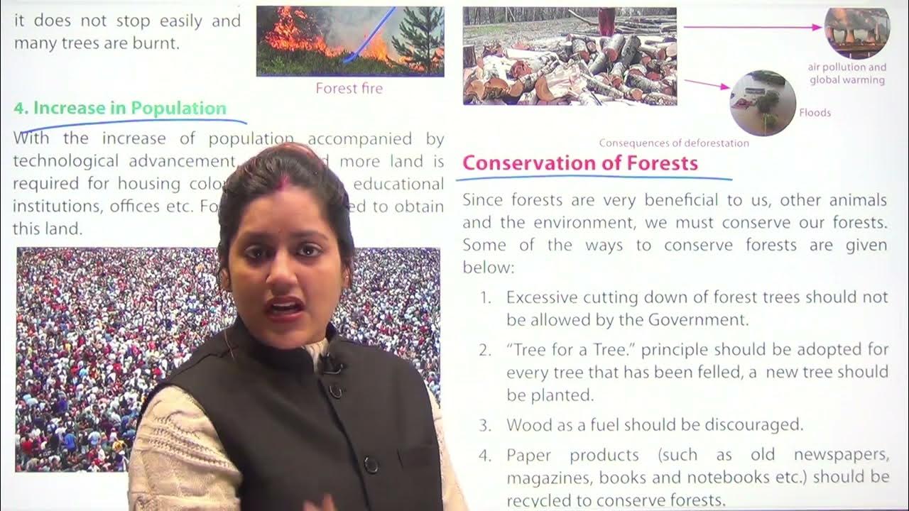CHAPTER 17 FORESTS | SCIENCE CLASS 7 - YouTube