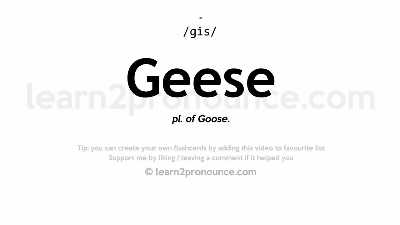 Pronunciation of Geese | Definition of Geese - YouTube