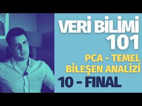 PCA Nedir? Temel Bileşenler Analizi | Veri Bilimi 101