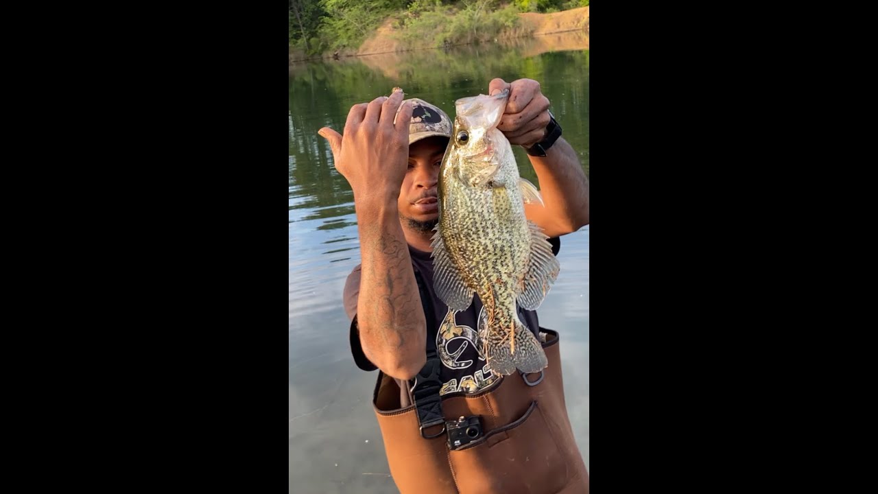 Bluegill Catch Clean Cook | Monster Crappie | Fresh picked Cabbage ...