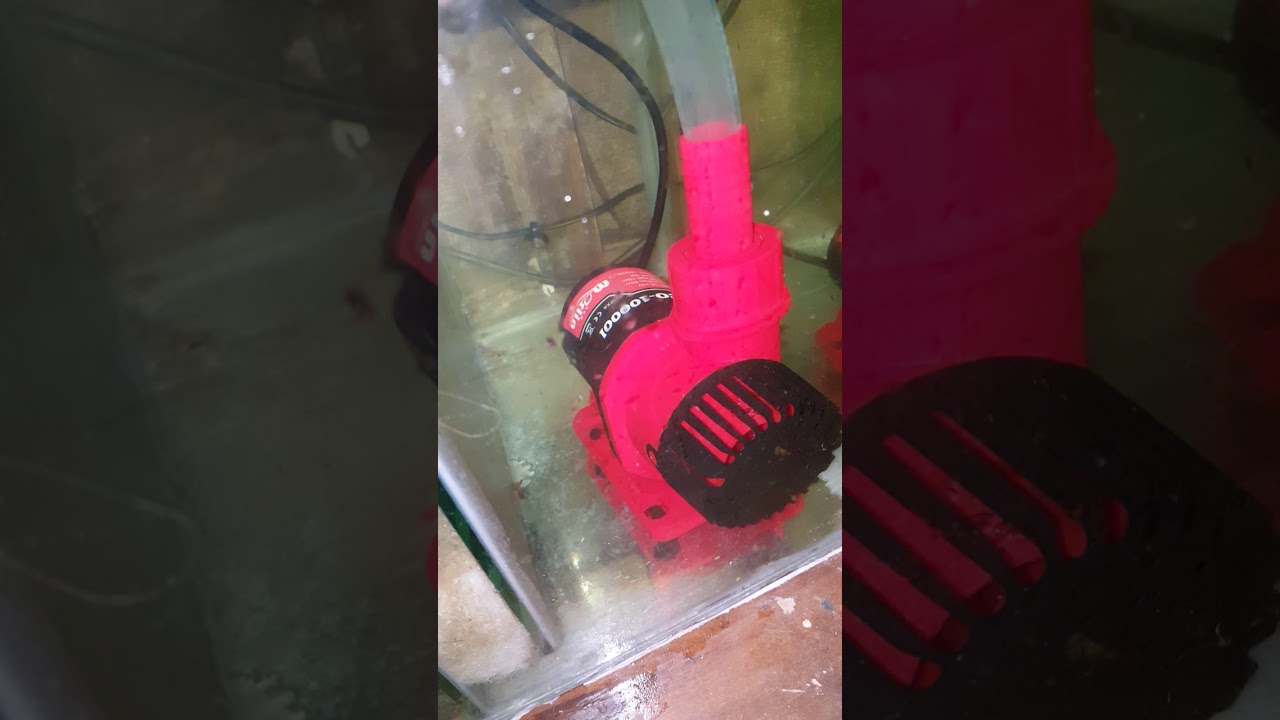 Marlin DC pump. 1 pump 2 function, return & wave maker - YouTube