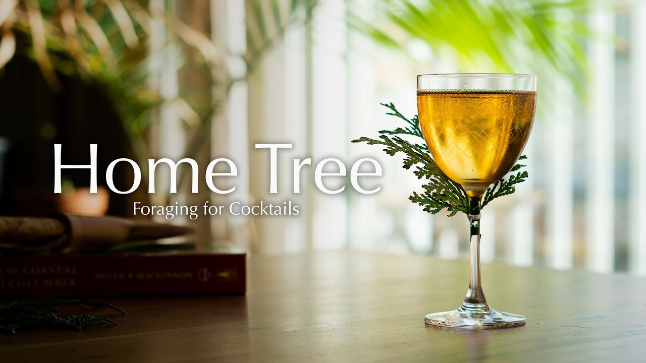 Foraging for Cocktails - Red Cedar Vodka Infusion - YouTube