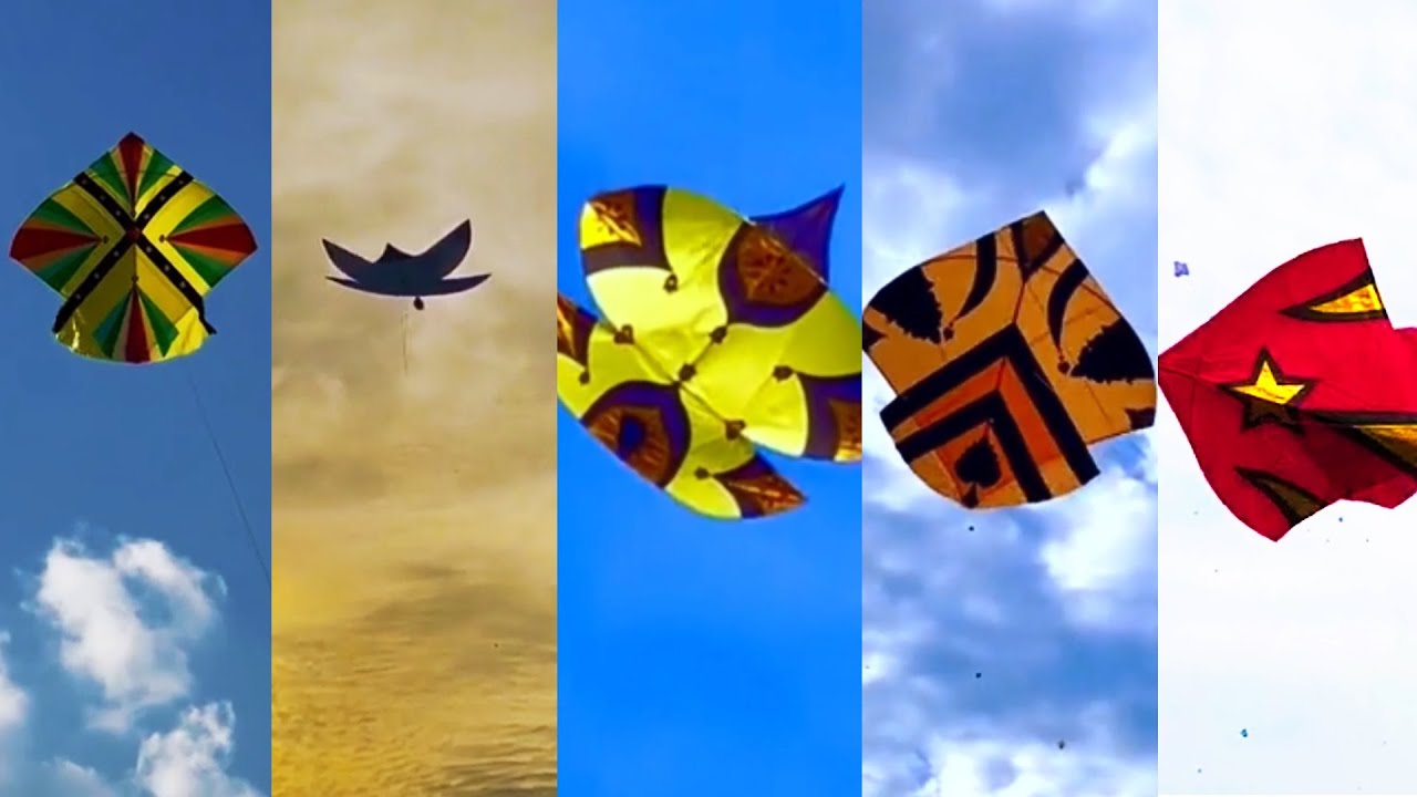 Colourful Kites videos | Kites Collection | Big and Beautiful Kites ...