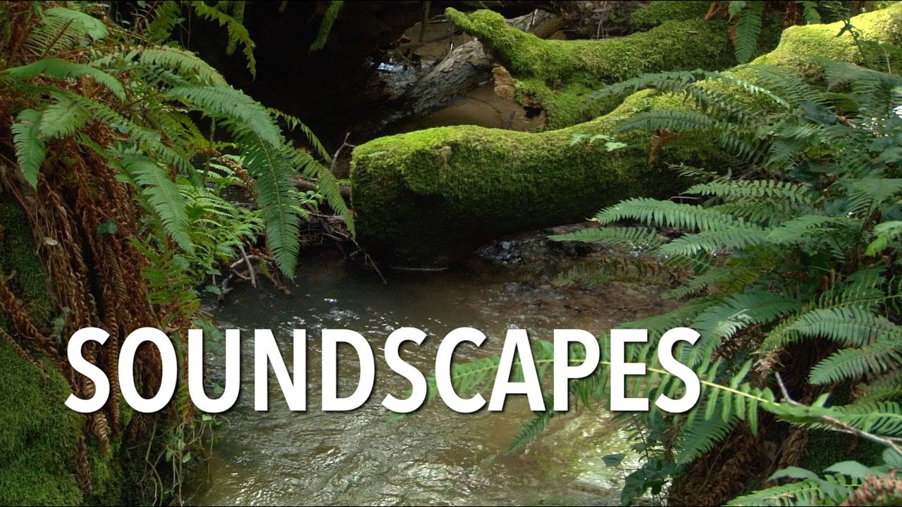 Soundscapes (Part 1) - YouTube